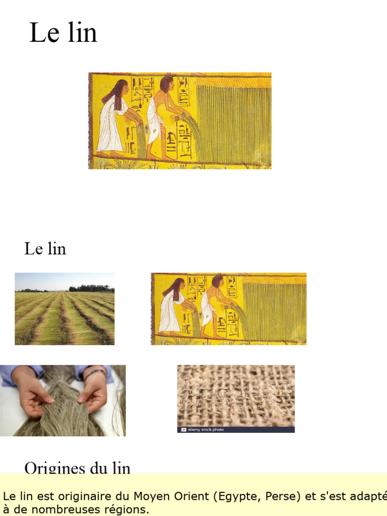 La Fibre Du Lin | PDF | Lin cultivé | Les textiles