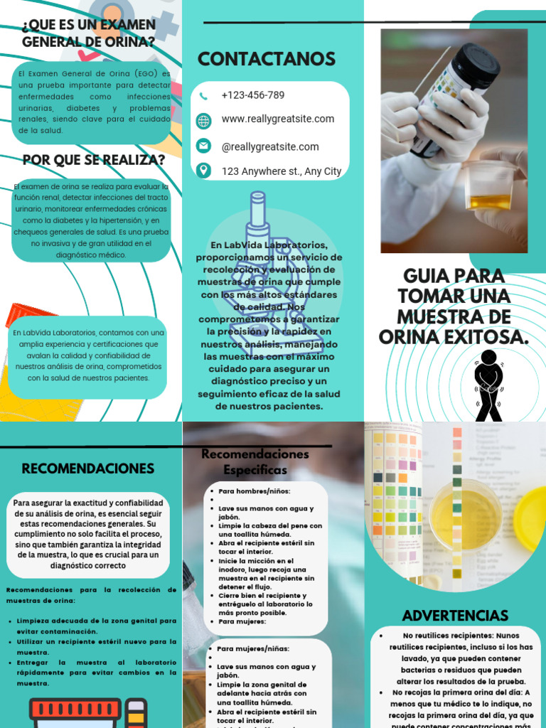 Guia para tomr una muestra de orina exitosa. (1) | PDF | Laboratorios ...