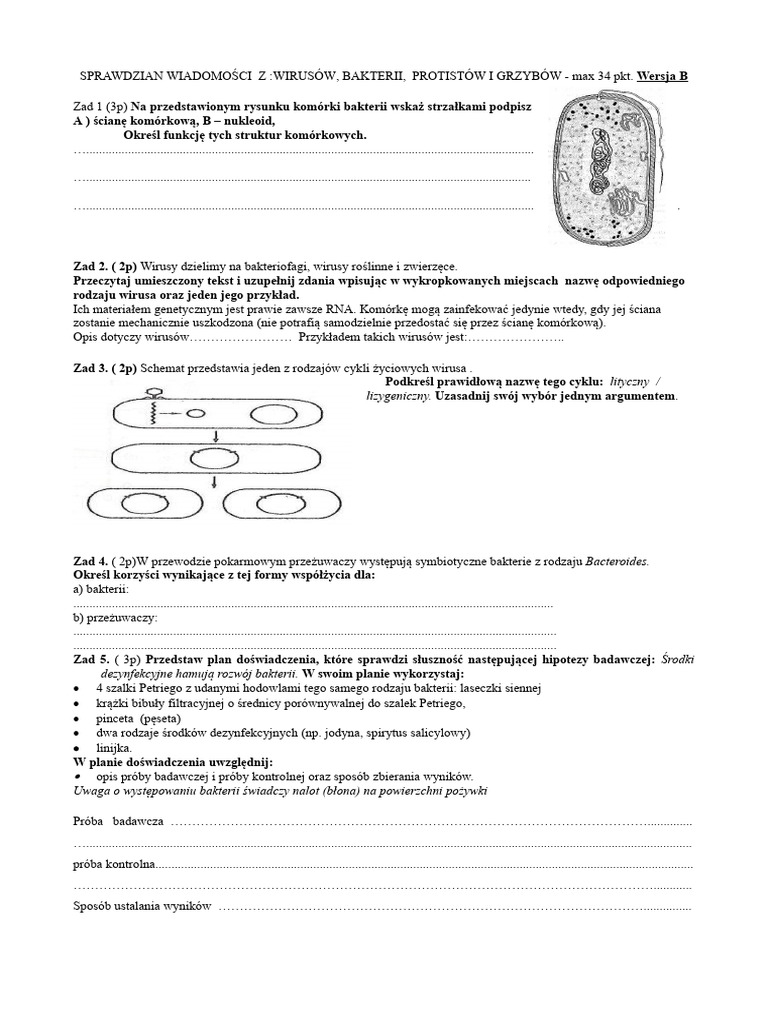 BAKTERIE, WIRUSY, PROTISTY I GRZYBY - Wersja B | PDF