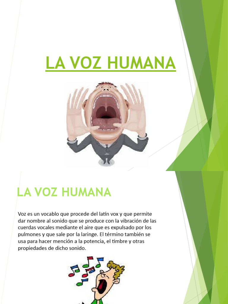 La Voz Humana Pdf Hablar En Público Voz Humana
