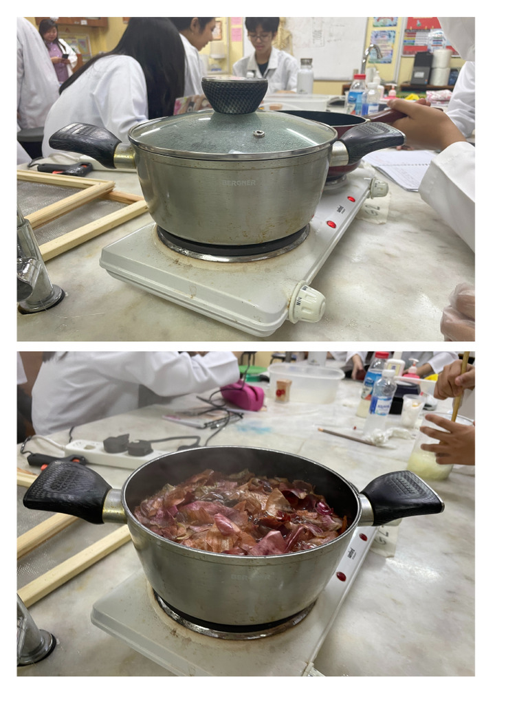 Print Sip Details | PDF