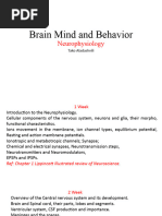 AD8 Dementia Screening Interview | PDF | Dementia | Brain