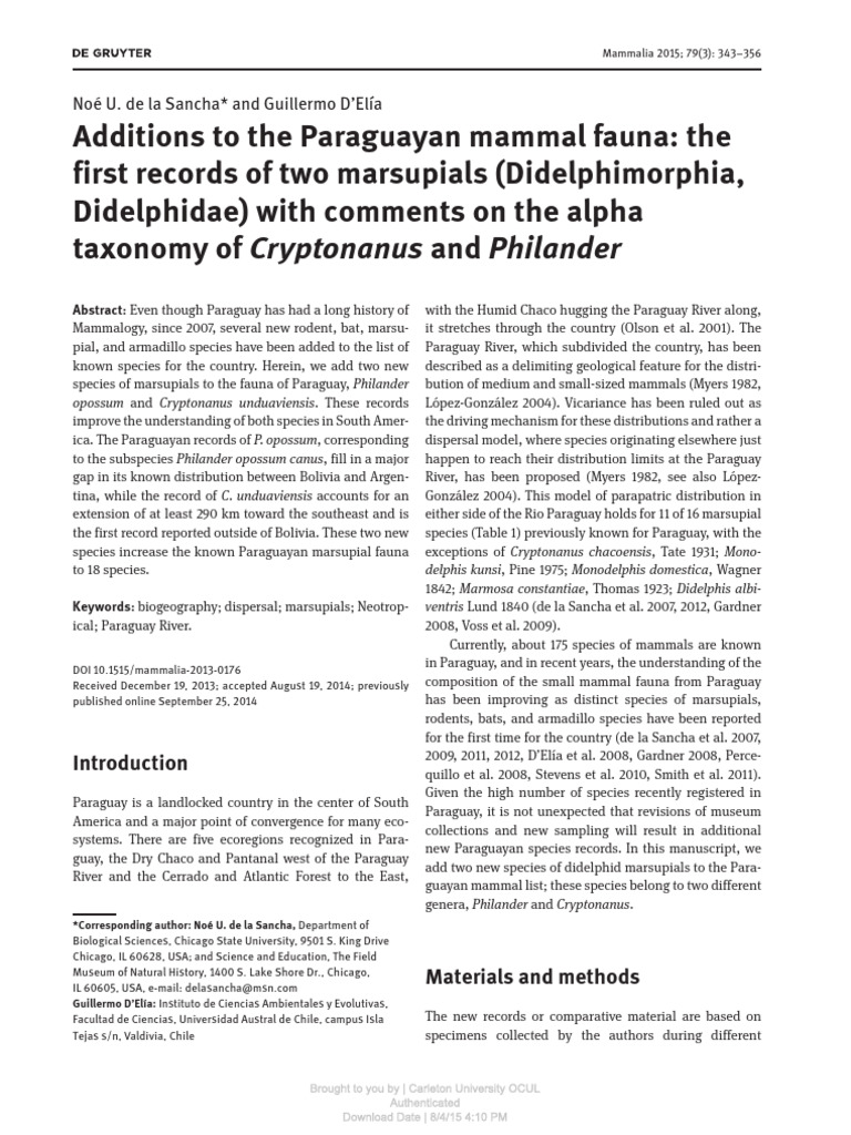 Check - Rapposa - Additions To The Paraguayan Mammal Fauna - The First ...