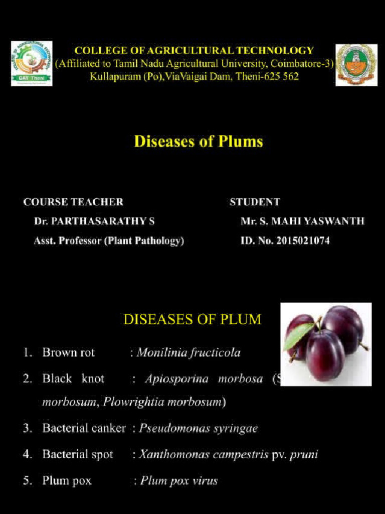 diseases-of-plum | PDF