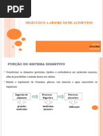 Quimo e Quilo | PDF | Digestão | Estômago