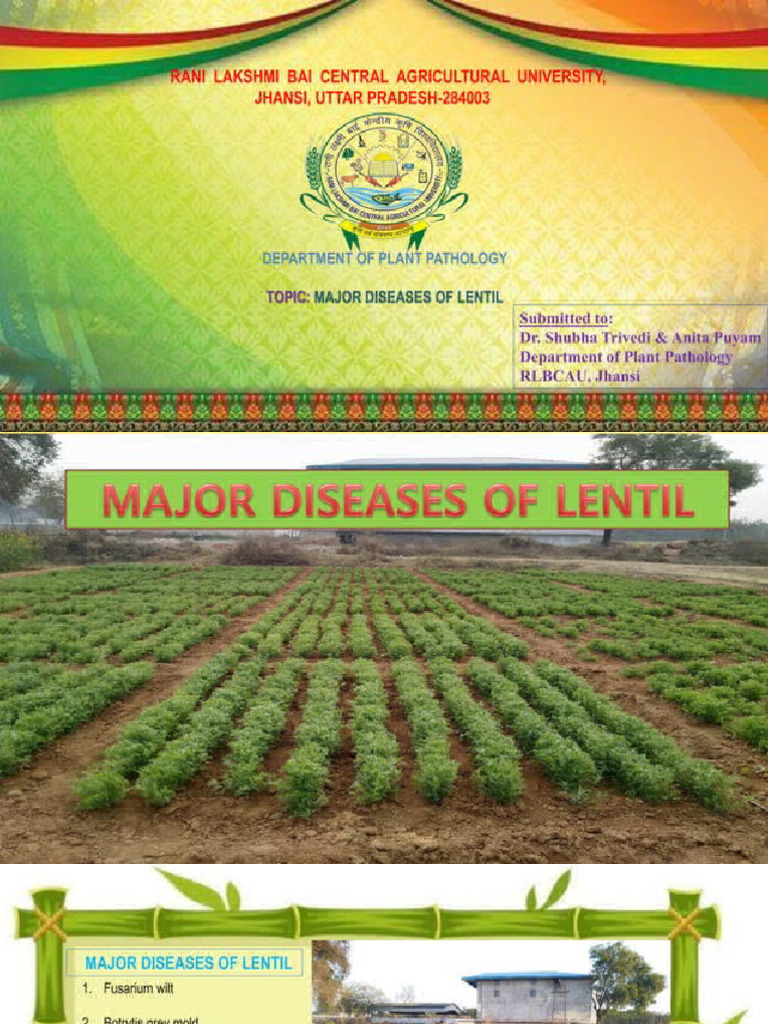 major-diseases-of-lentil-lens-culinaris | PDF