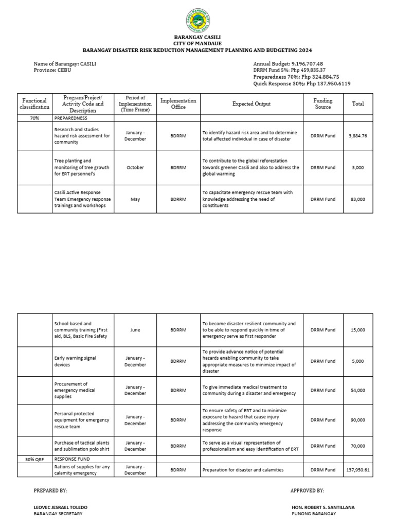 BDRRM Plan 2024 | PDF | Emergency Management | Emergency