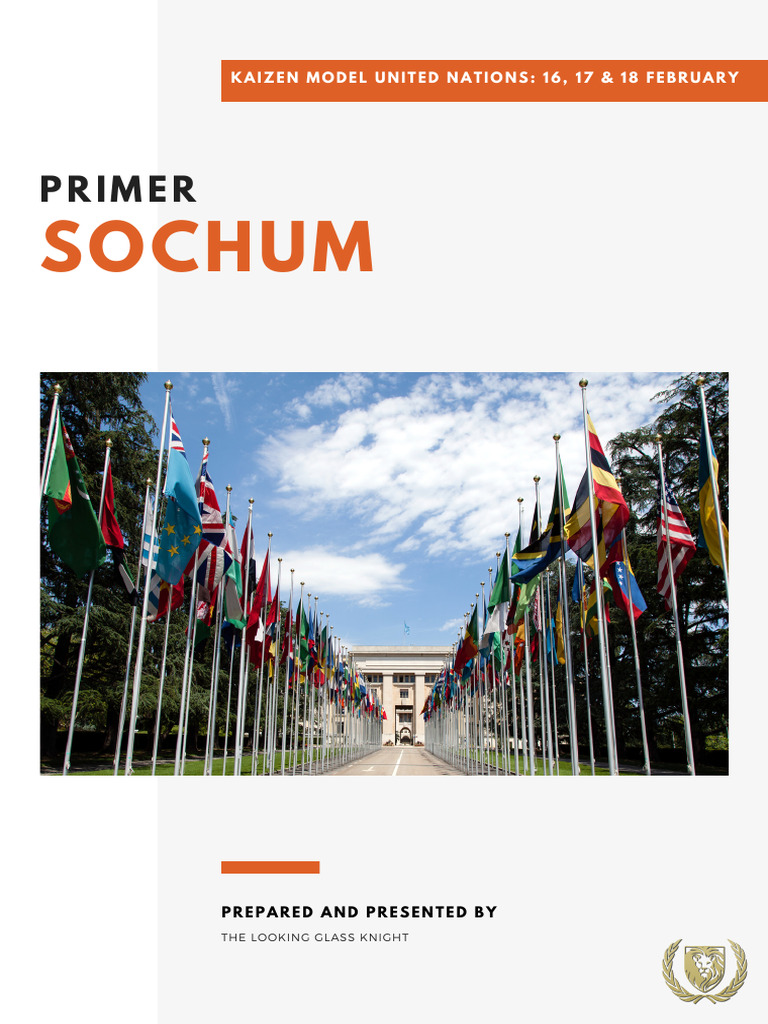 Sochum | PDF | Reproductive Rights | Abortion