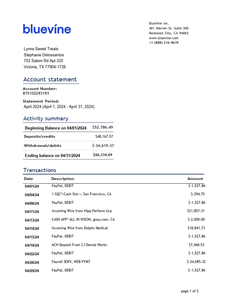 BlueVine Account Statement Summary | PDF | Debit Card | Pay Pal