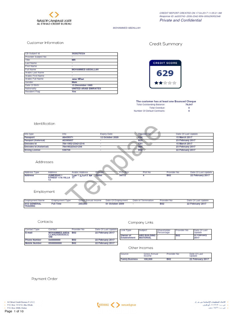 Individual Credit Report Template | PDF | Credit Card | Credit