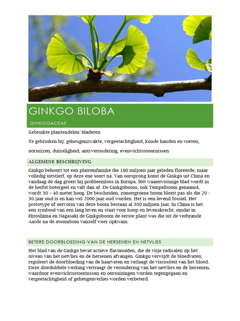 Ginkgo Biloba (5291) | PDF