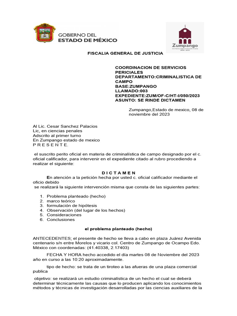 Peritaje Correcto | Descargar gratis PDF | Ciencia forense | Observación