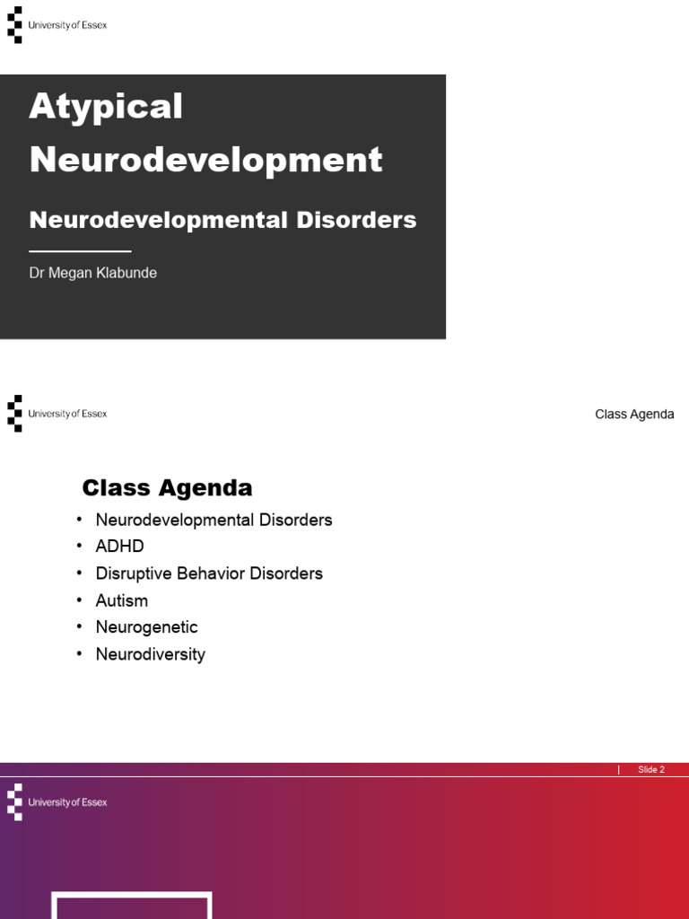 Abnormal Neurodevelopment Pdf Autism Spectrum Attention Deficit