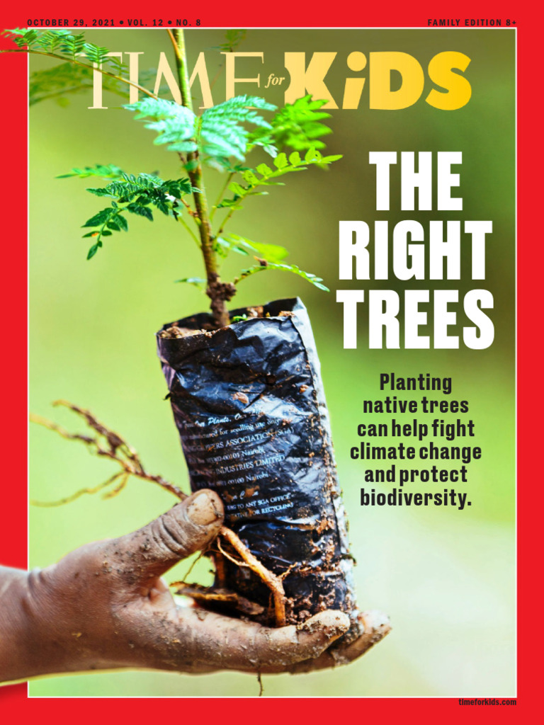 Planting Native Trees for Climate Action | PDF | Forests | Trees