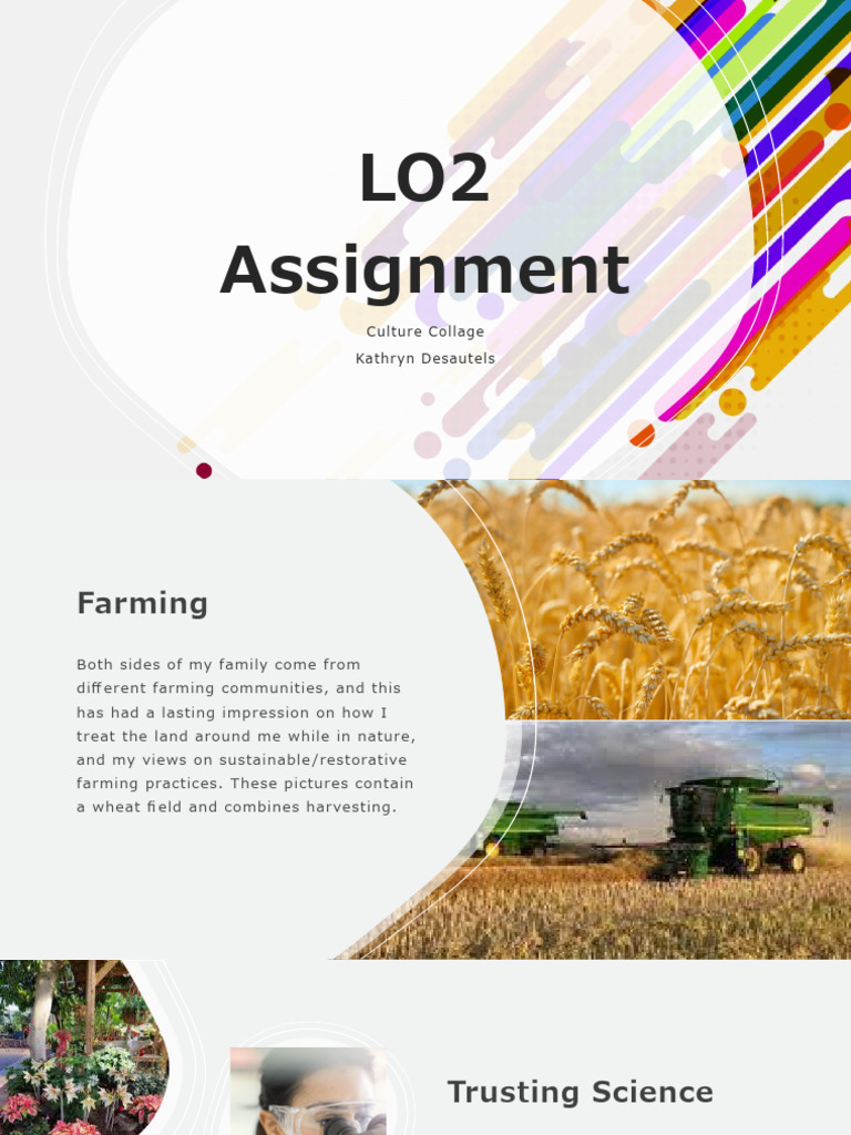 LO2 Assignment | PDF