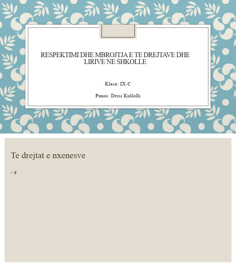 Respektimi DhE Mbrojtja e Te Drejtave Dhe Lirive | PDF