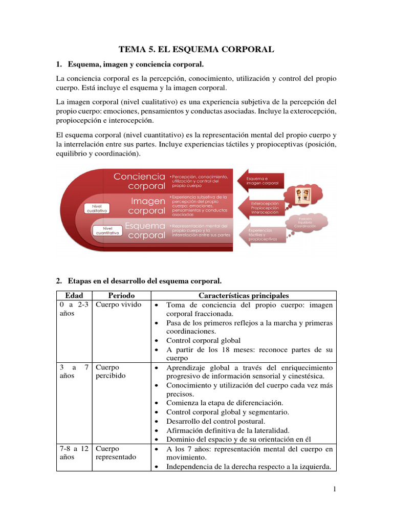 Desarrollo del Esquema Corporal | PDF | Percepción | Procesos mentales