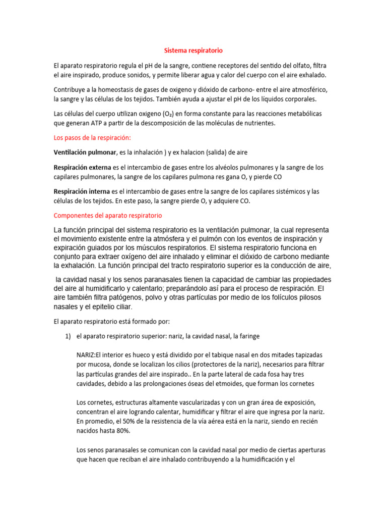 Sistema Respiratorio | Descargar gratis PDF | Sistema respiratorio ... Sistema Respiratorio | Descargar gratis PDF | Sistema respiratorio ...