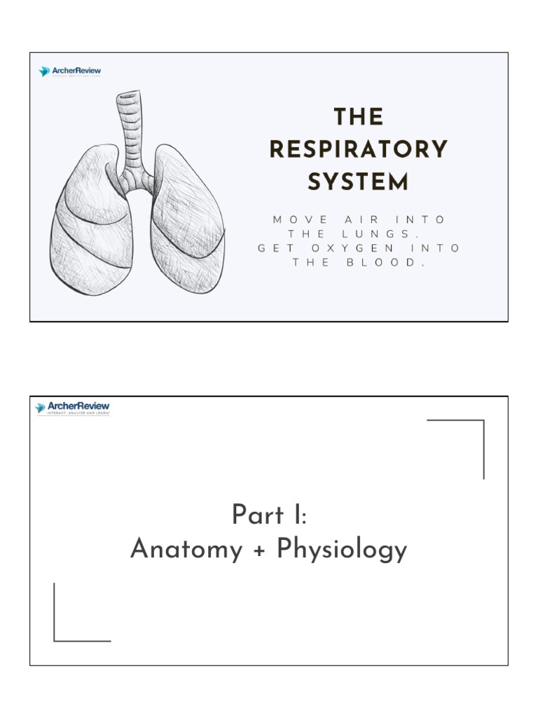 The Respiratory System | PDF | Respiratory Diseases | Respiratory Tract