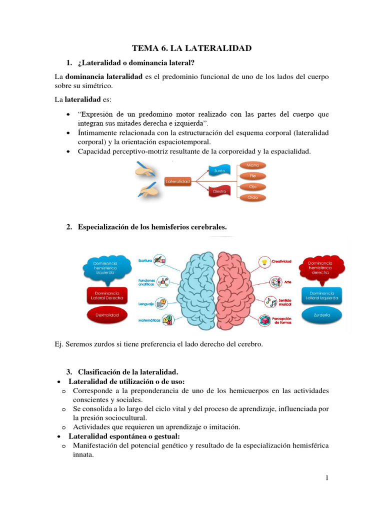Importancia de la Lateralidad en Educación | PDF | Hemisferio cerebral ...