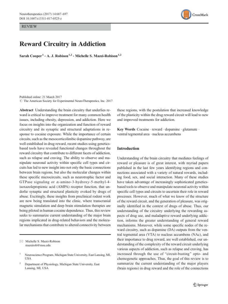 Reward Circuitry in Addiction: Review | PDF | Reward System | Synaptic Plasticity