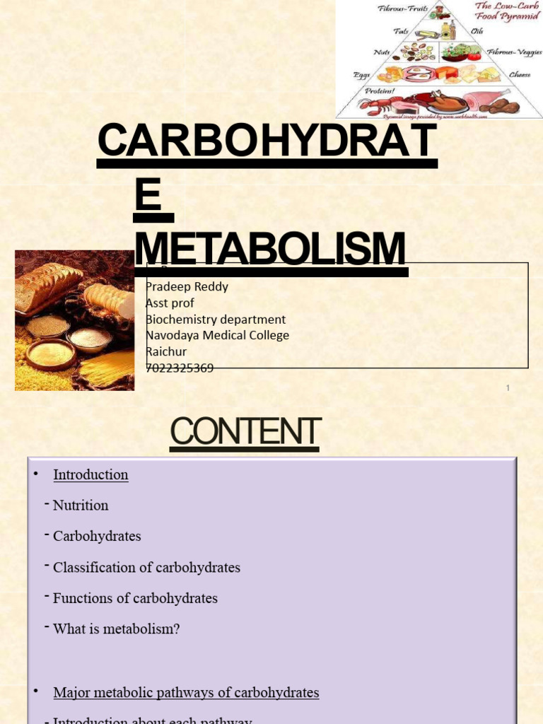 Carbohydrate Metabolism Overview | PDF | Citric Acid Cycle | Chemistry