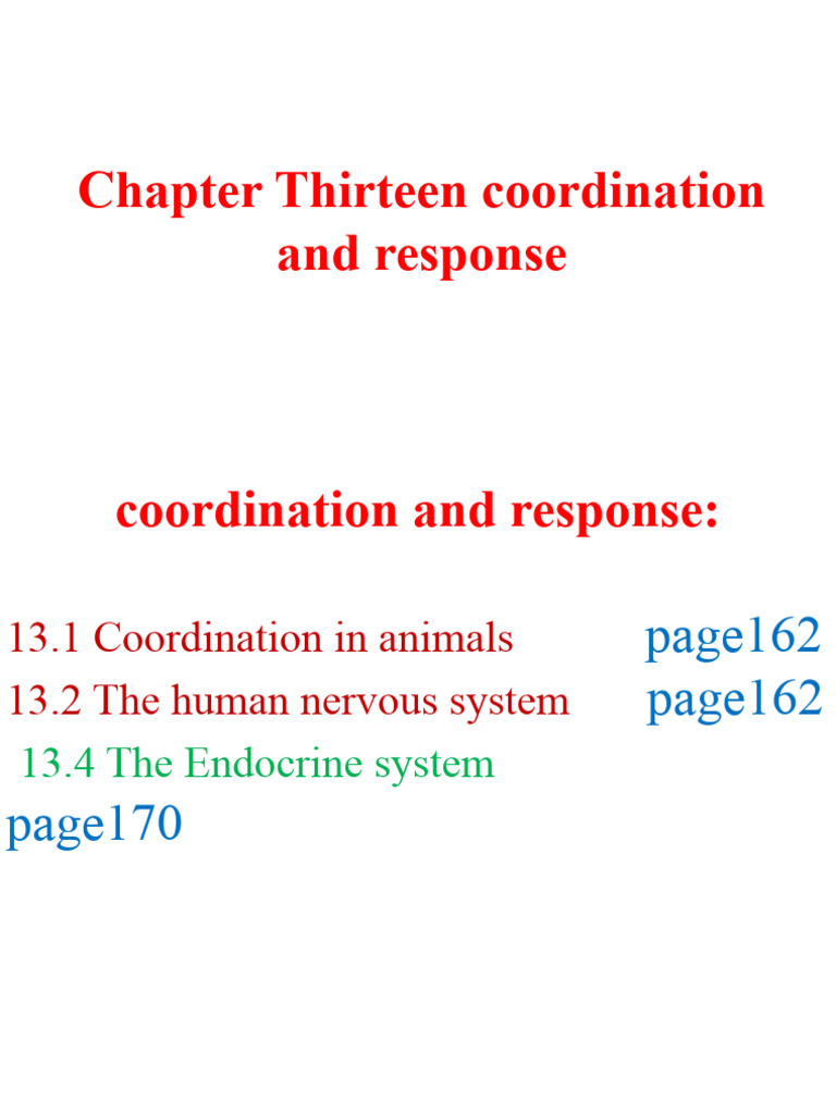 10th Grade Chapter 13 Part 1 The Human Nervous System Pdf