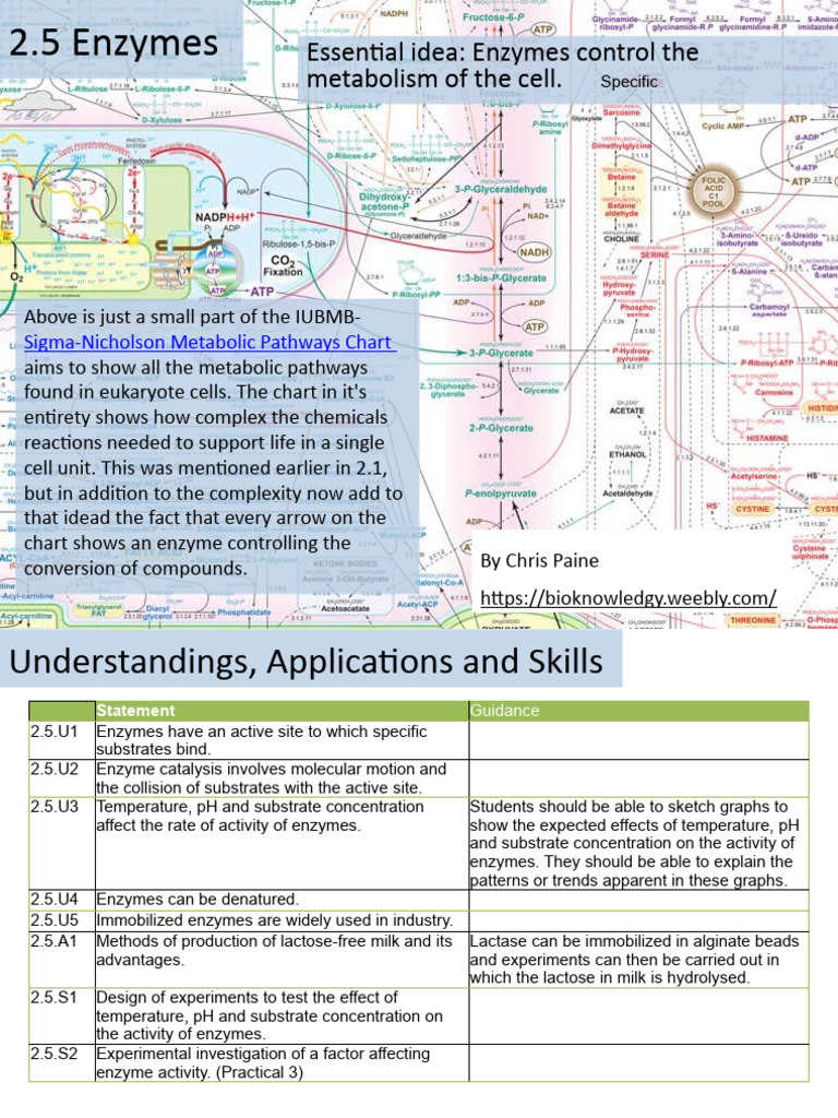 Essential Idea: Enzymes Control The Metabolism of The Cell.: Sigma ...