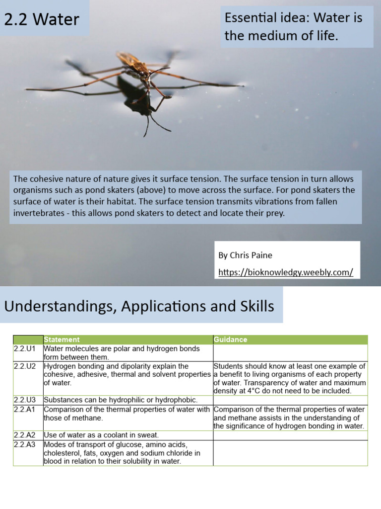 2 2 | PDF | Properties Of Water | Chemical Bond