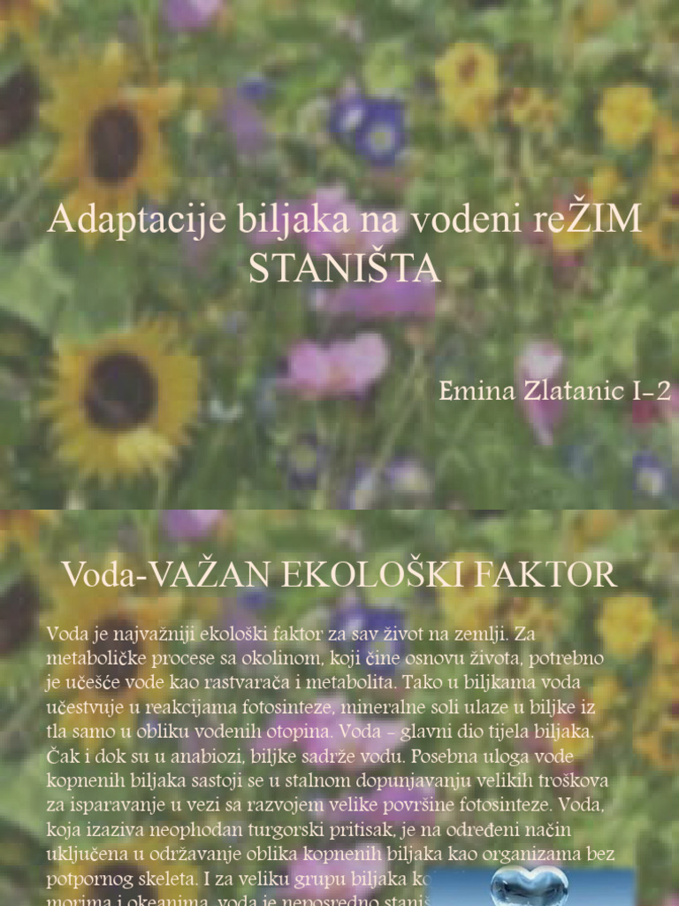 Biljke | PDF