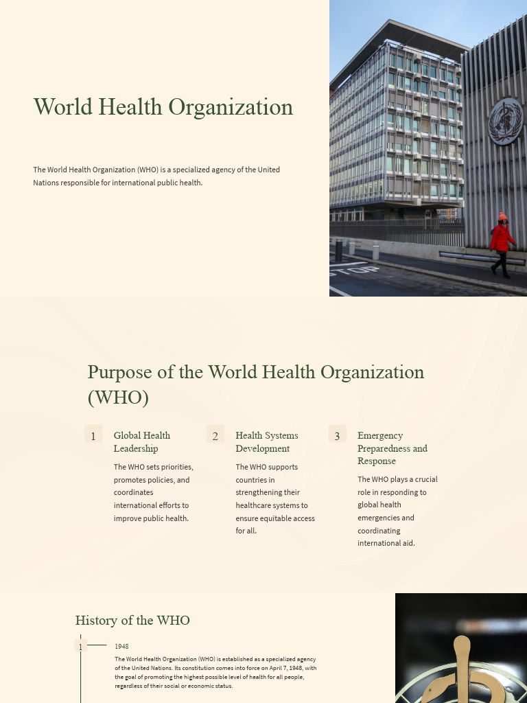 Overview of the World Health Organization | PDF | World Health ...