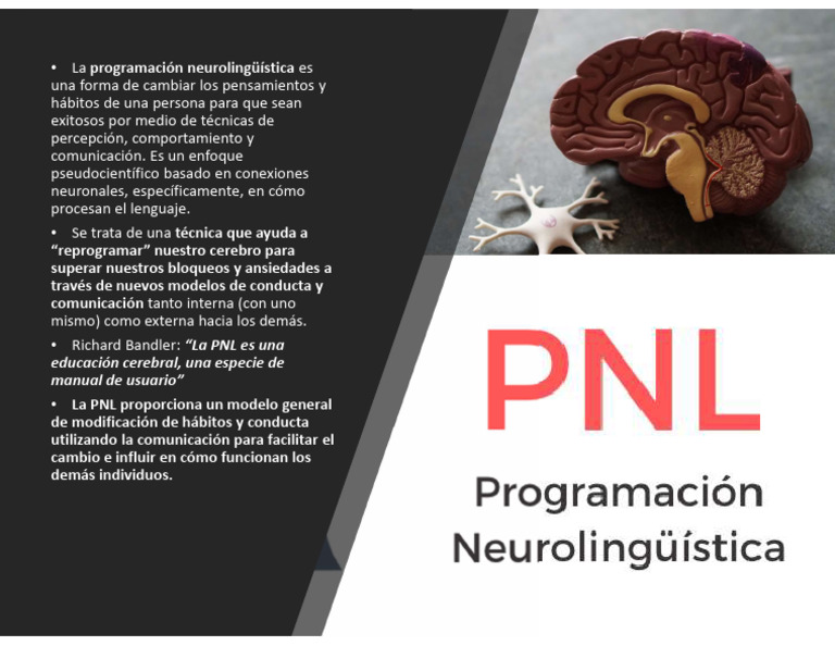 PNL | PDF
