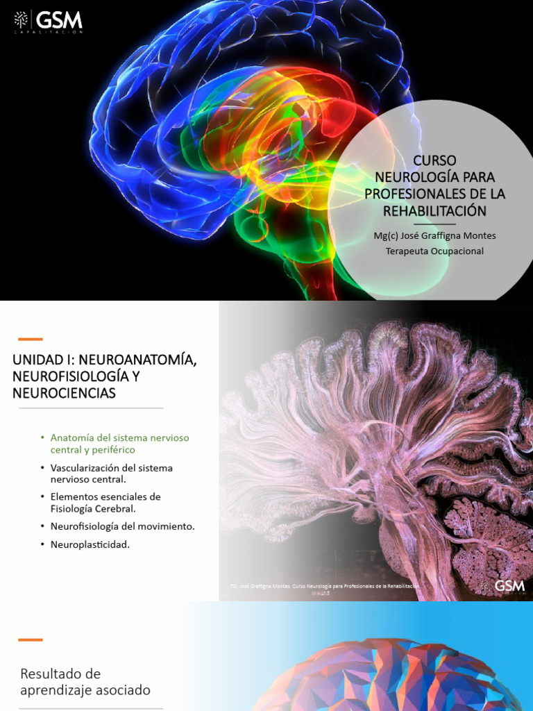 Clase 1 NPPR | PDF | Cerebelo | Corteza cerebral