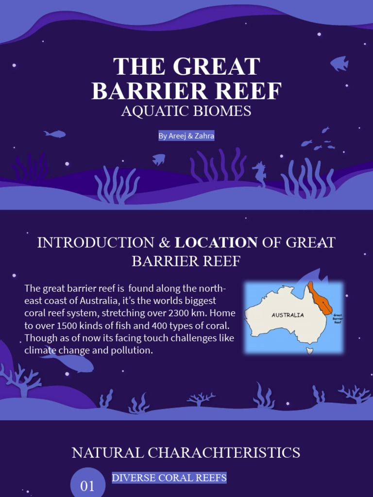 Great Barrier Reef: Biodiversity & Threats | PDF | Coral Reef ...