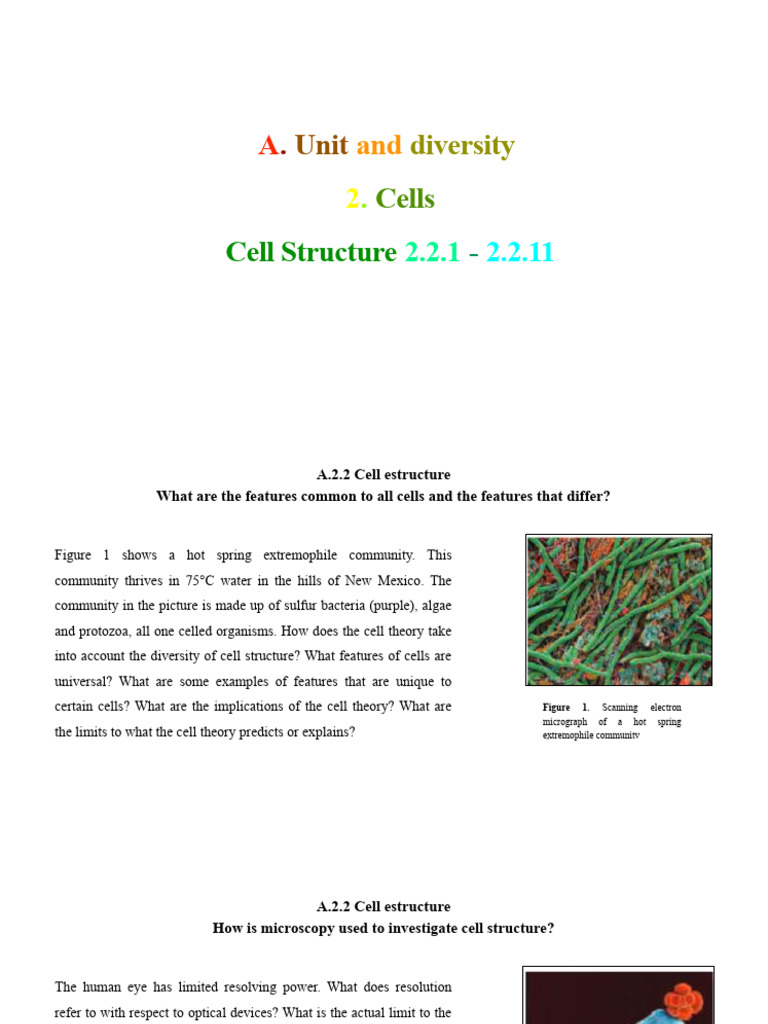 Understanding Cell Structure and Microscopy | PDF | Cell (Biology ...
