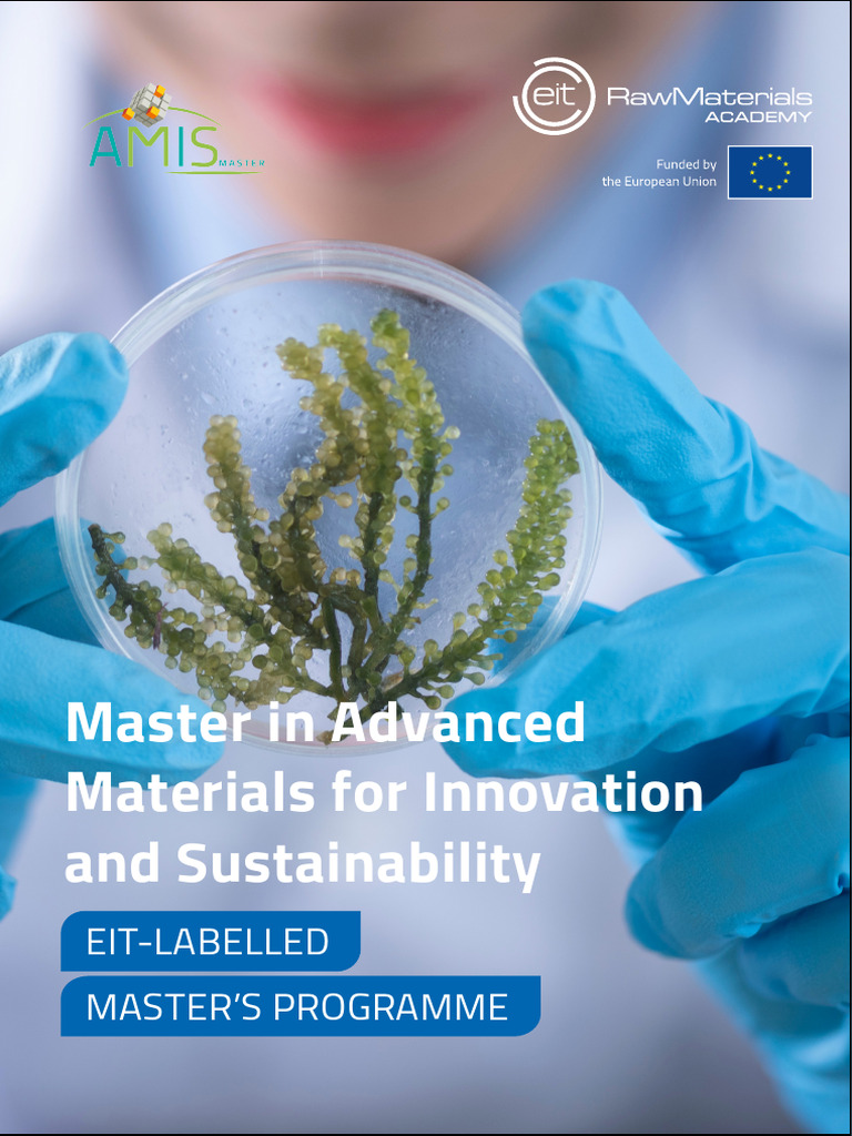 2021.EIT_AMIS.Brochure_digital | PDF | Entrepreneurship | Innovation