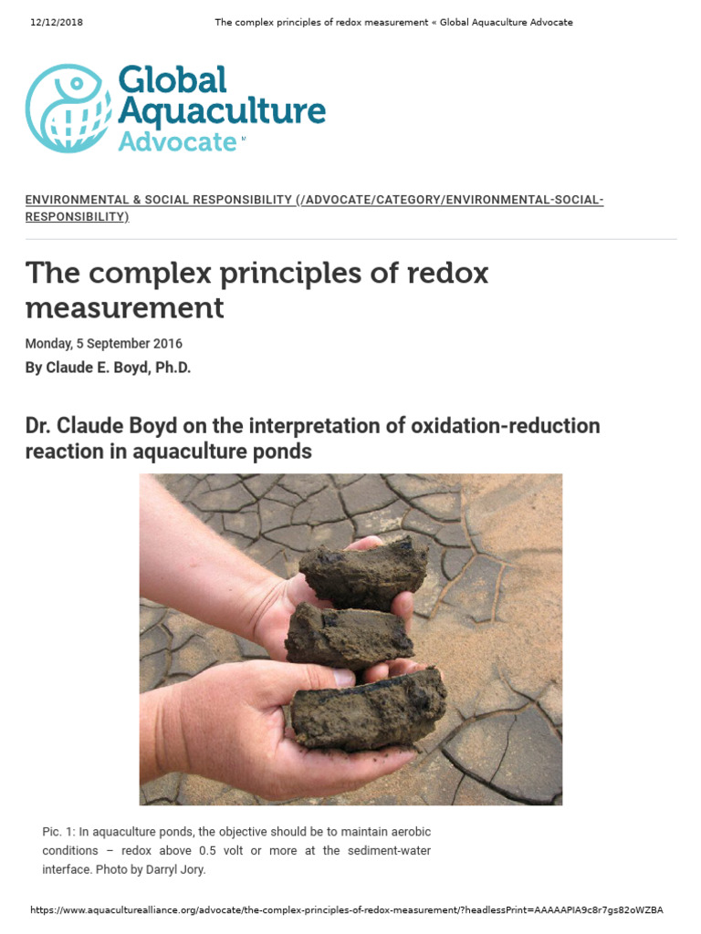 The Complex Principles of Redox Measurement | PDF | Redox | Chemical ...