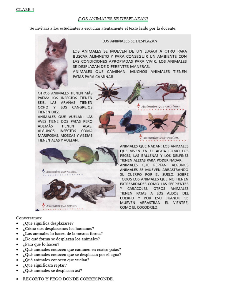 Tipos de Desplazamiento Animal | PDF | Pluma | Aves