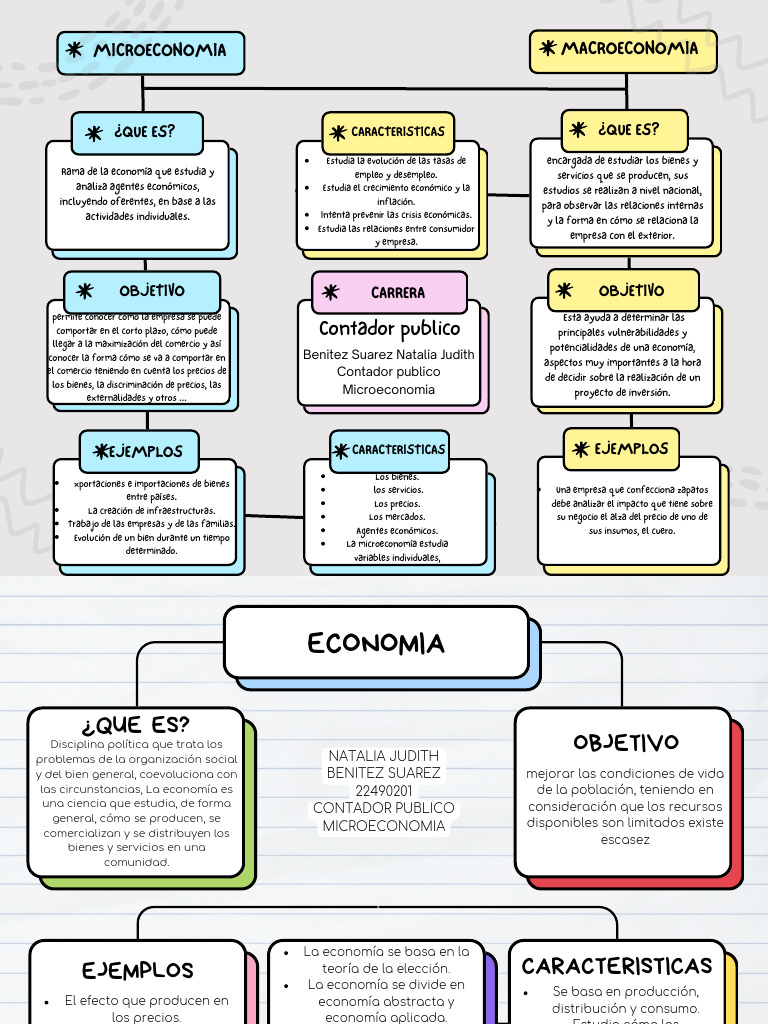 Mapa conceptual | PDF | Ciencias económicas | Microeconomía