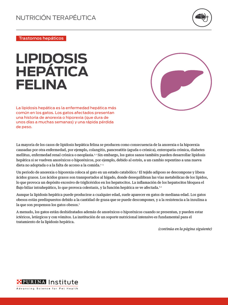Lipidosis Hepática Felina | PDF | Gatos | Alimentos