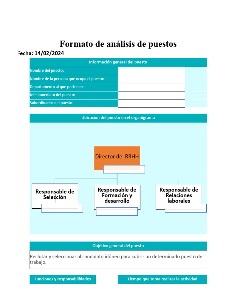 Formato-de-analisis-de-puestos-en-Excel | PDF