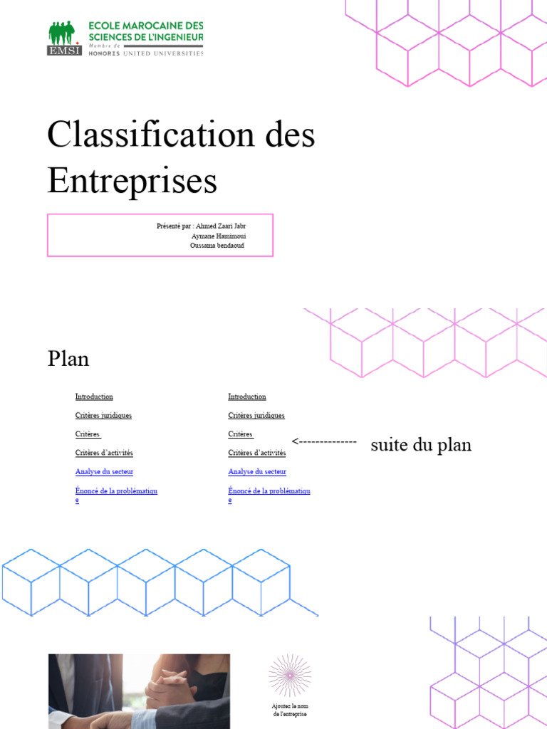 Classification Des Entreprises | PDF