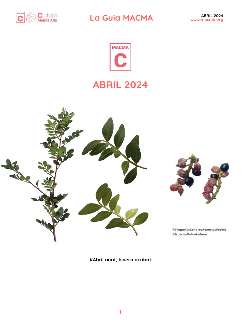 Guia MACMA BONA - Compressed | PDF