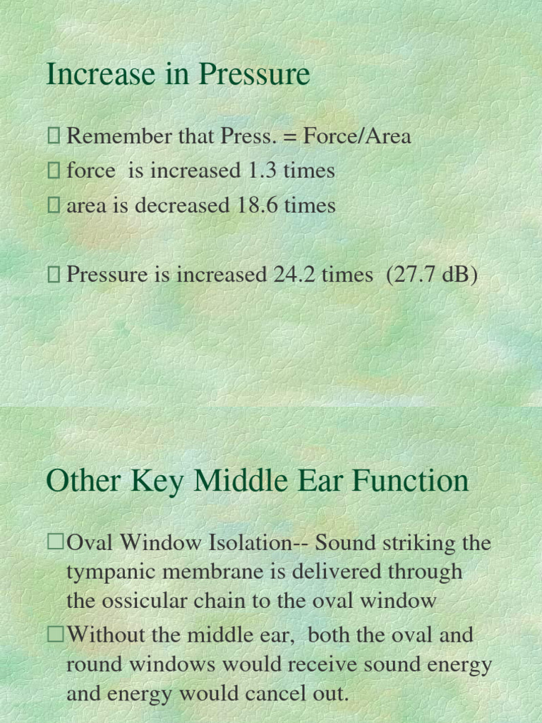 ANATOMI Copy - 241 - 1 | PDF