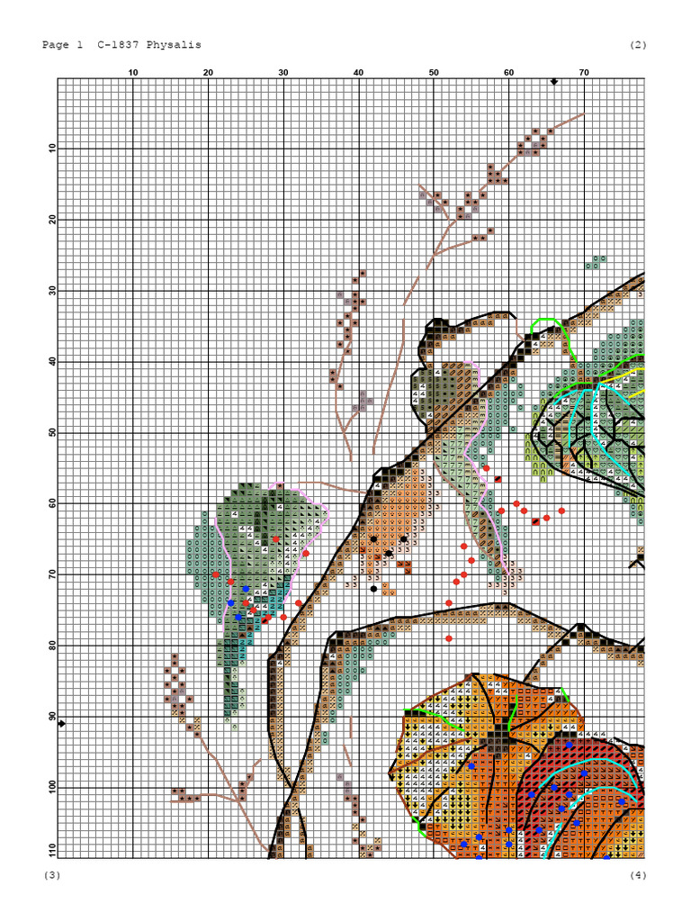 Page 1 C-1837 Physalis | PDF