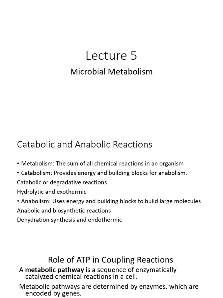 Lecture 5 Microbial Metabolism | PDF | Cellular Respiration | Glycolysis