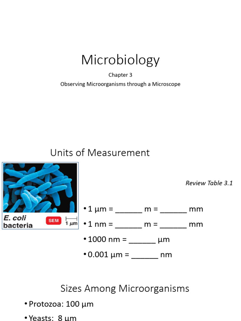 Lecture 3 Observing Microorganisms Through A Microscope | PDF | Staining | Microscope