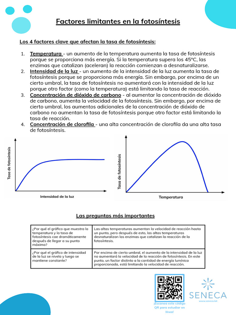 Factores limitantes Fotosíntesis | PDF | Fotosíntesis | Enzima
