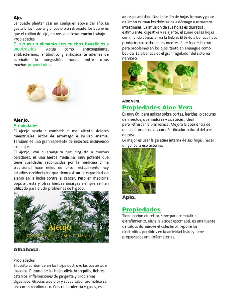 15-PLANTAS-MEDICINALES | PDF | Té | Apio