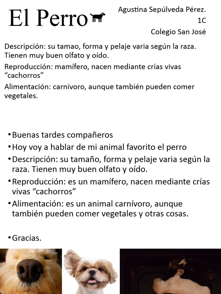Disertacion El Perro | PDF